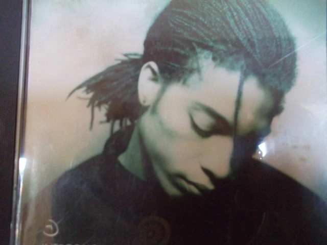 INTRODUCING THE HARDLINE according to Terence Trent D'arby musical CD # ...