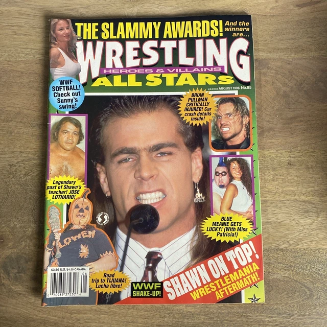 VINTAGE WWF WRESTLING Magazine All Stars Hero’s Villains #85 1996 Shawn ...