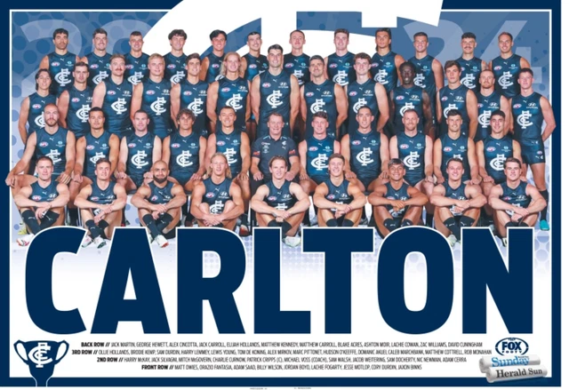 2024 CARLTON BLUES Afl Football Team Poster,Free Post Bargain 8 $12.99 ...