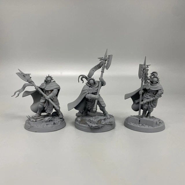 STORMCAST ETERNALS PRAETORS Warhammer Age Of Sigmar Aos Hamers Unità ...