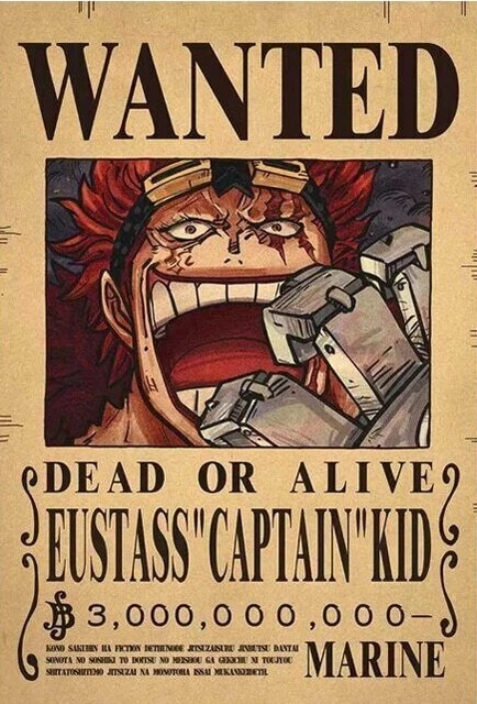 One Piece Wanted Poster A3 FOR SALE! - PicClick UK