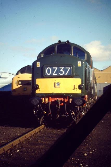 RAILWAY SLIDE BR DIESEL LOCO 37261 0Z37 35mm + copyright £4.87 ...