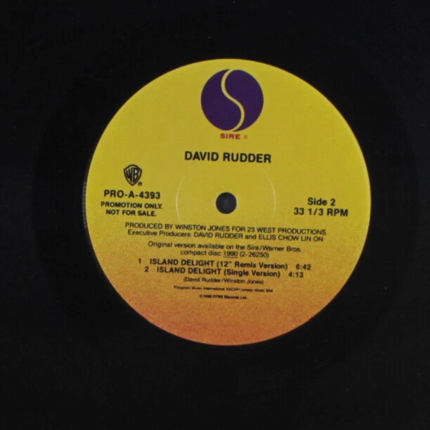 DAVID RUDDER: DARK secret / island delight Sire 12" Single 33 RPM EUR 7 ...