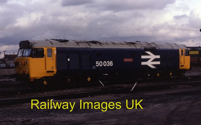 RAILWAY PHOTO - Old Oak Common MPD 50036 Class 50 BR Blue 06.02.82 £2. ...