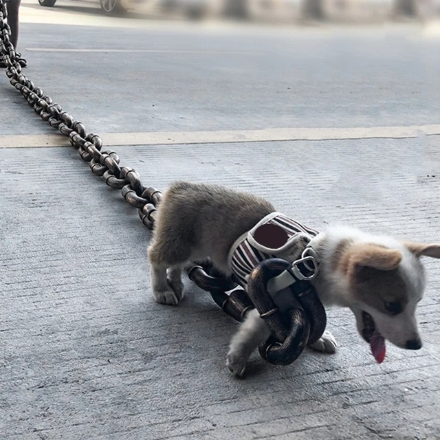 PET WALKING LONG Leash Accessory Funny Iron Chain Photo Props ...