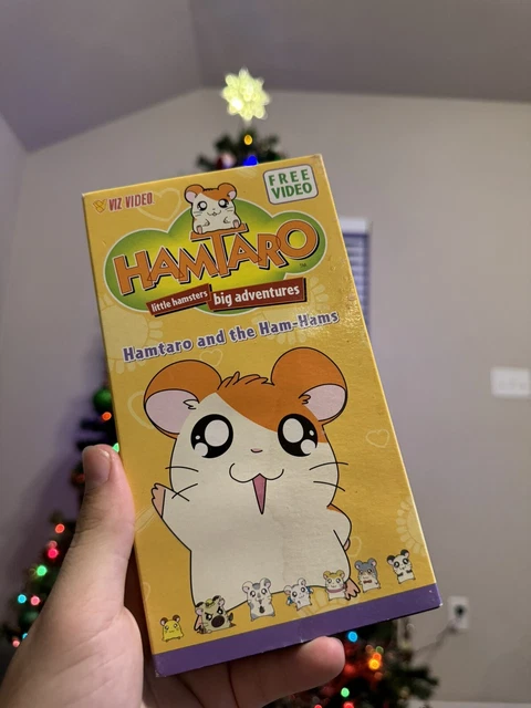 HAMTARO AND THE Ham-Hams VHS Tape 2000 Little Hamster Big Adventures ...