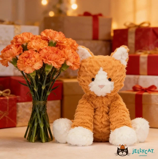 JELLYCAT FUDDLEWUDDLE GINGER Cat Plush Toy Doll Brand New Tag + Dust ...