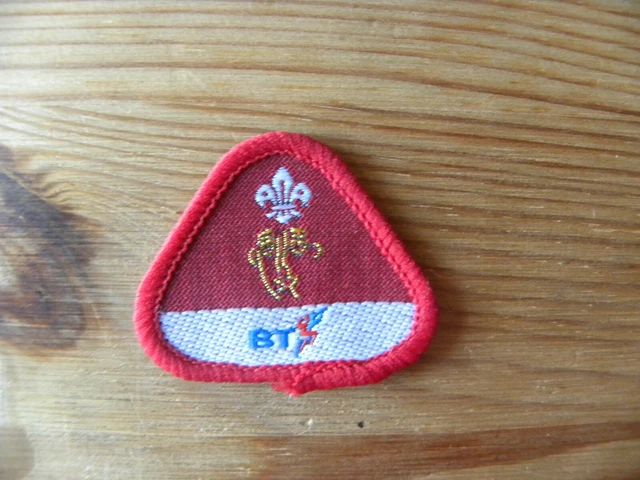 UK SCOUTING DISCONTINUED Cub Scout Proficiency Badge Entertainer BT £1. ...