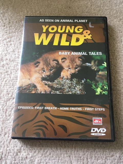 YOUNG & WILD Dvd, Baby Animal Tales As Seen On Animal Planet £2.65 ...