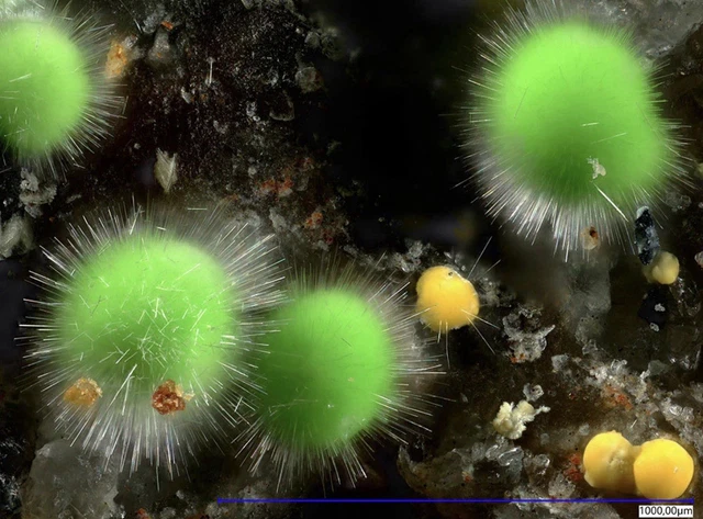 GEIGER COUNTER CHECK source £187.92 - PicClick UK