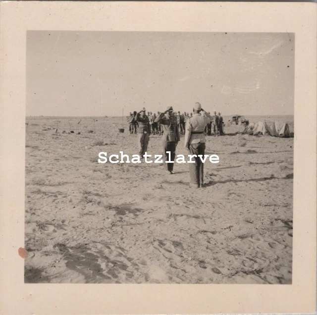 FOTO PANZER GR. Afrika (DAK), Meldung machen, Tobruk Libyen 1942 (MJ-42 ...