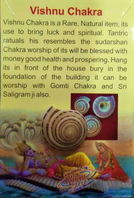 VISHNU CHAKRA SHELL Conch Yantra Chakra Hindu Laxmi Pooja 100% Real ...