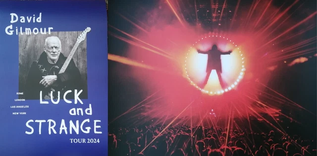 DAVID GILMOUR ~ Luck and Strange 2024 Concert Poster ~ Unique Double ...