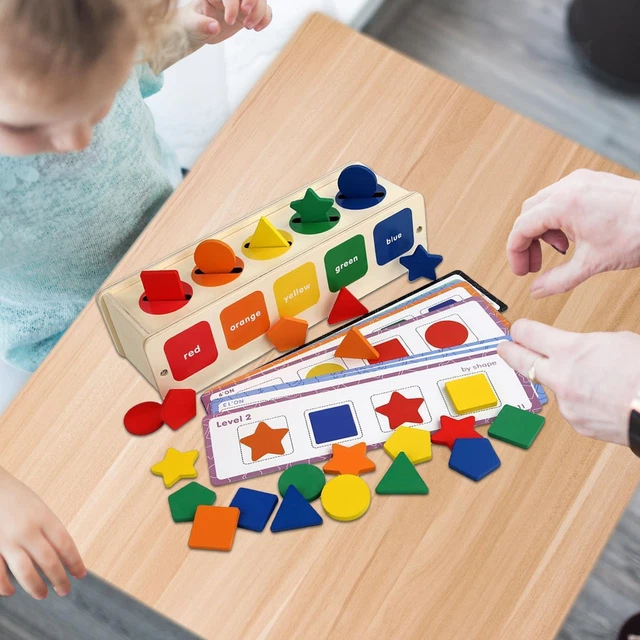 MONTESSORI WOODEN SHAPE Color Sorting Toy Preschool Learning Toy Gifts ...