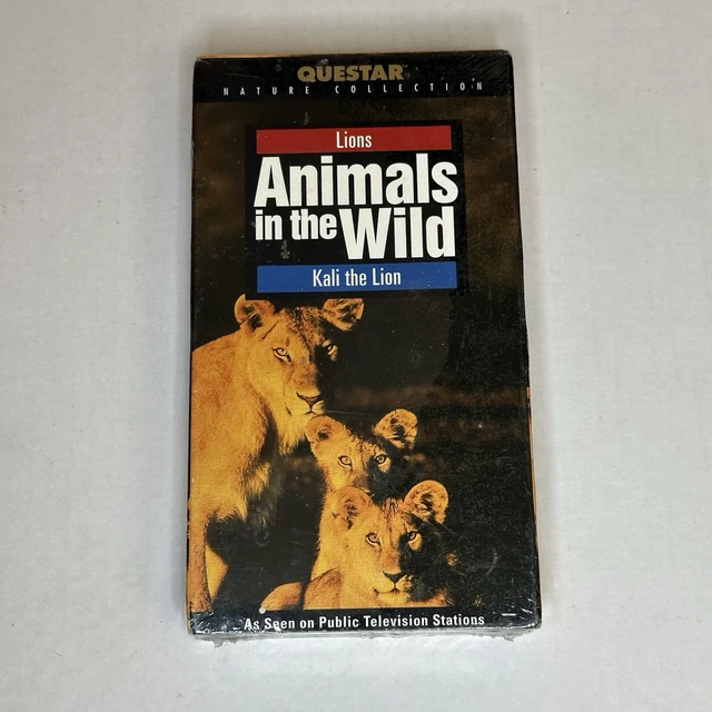 ANIMALS IN THE Wild: Kali The Lion VHS Vintage 1990 Brand New Sealed £ ...