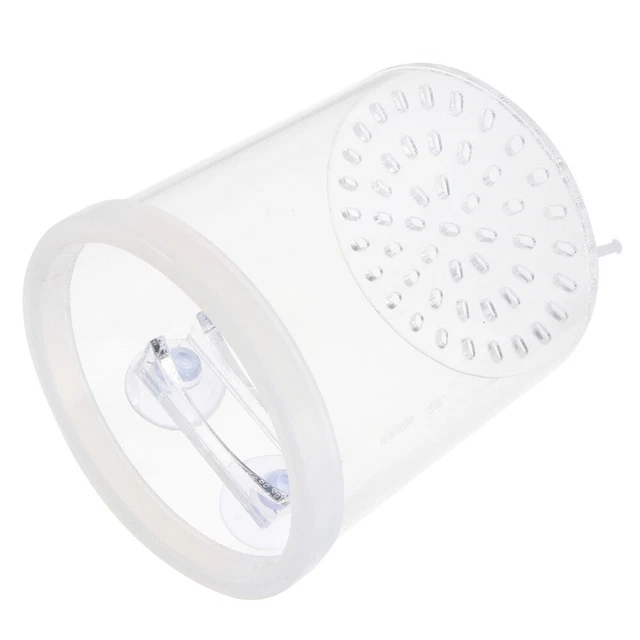 TERRARIUM AQUARIUM BREEDER Boc Fry Breeding Incubator Guppies Baby £12. ...