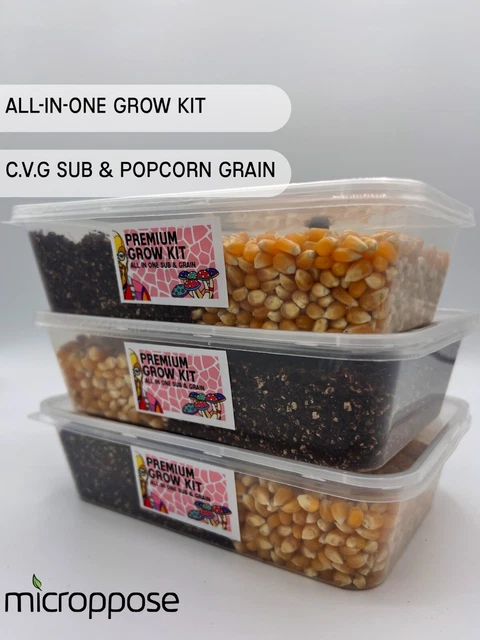 ALL-IN-ONE MUSHROOM GROW Kit 1.1KG Popcorn Grain Spawn & CVG Substrate ...