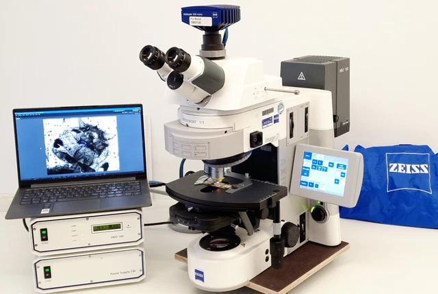 ZEISS AXIO IMAGER-Z1 microscopio a fluorescenza microscopio a ...