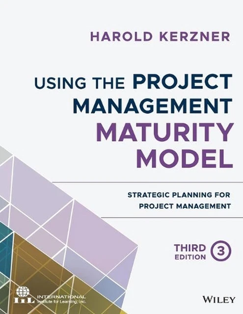 USING THE PROJECT Management Maturity Model: Strategic Planning for ...