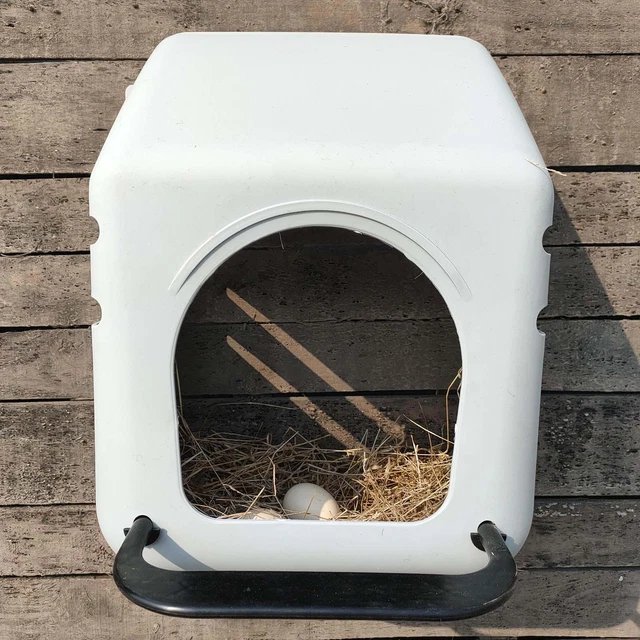 HEAVY DUTY NEST Box Chicken Laying Box for Chicken Coop House ...