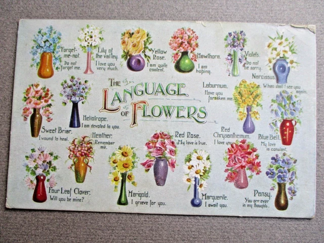 VINTAGE POSTCARD THE Language of flowers Regent Series #2868 Romantic ...