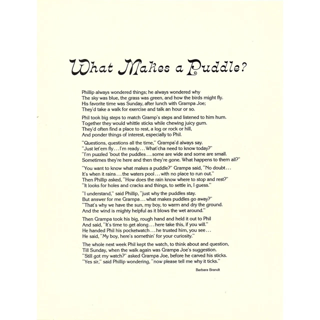 WHAT MAKES A Puddle? Barbara Brandt 1980s Poem Retro Kitsch Wall Art ...