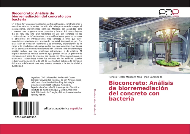 BIOCONCRETO: ANÁLISIS DE biorremediación del concreto con bacteria ...