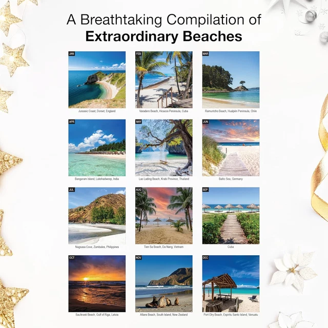 SIGNATURE - BEACHES 2026 Wall Calendar 12 Month | 12" x 24" Open ...