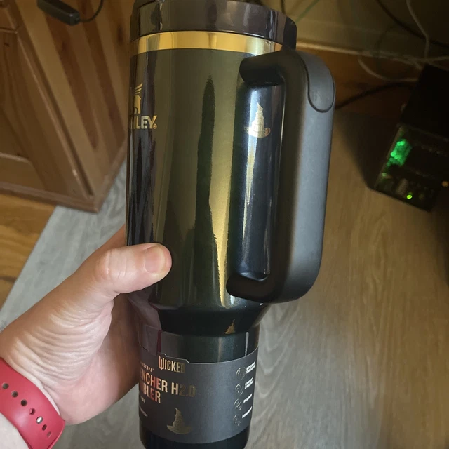 STANLEY X WICKED For Good Elphaba | 40oz H2.0 FlowState Quencher ...