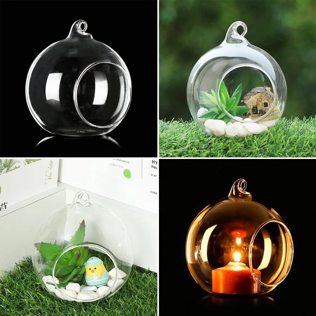 DECORATION BOTTLE MICROLANDSCAPE Container Clear Glass Ball Fillable ...