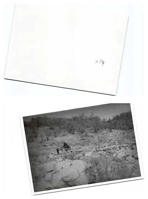 (B99292A74) auf Pad Deutsch Südwestafrika Namibia aus Fotonachlass der ...