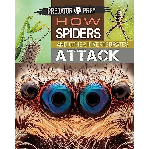 PREDATOR VS PREY: How Spiders and other Invertebrates A - Paperback NEW ...