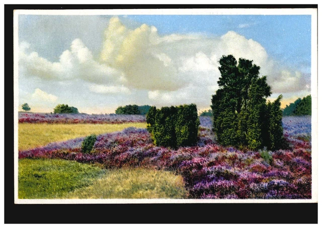 KÜNSTLER-AK PARTIE IN der Lüneburger Heide, Photochromie N.O.D., ungebraucht EUR 11,50 - PicClick DE