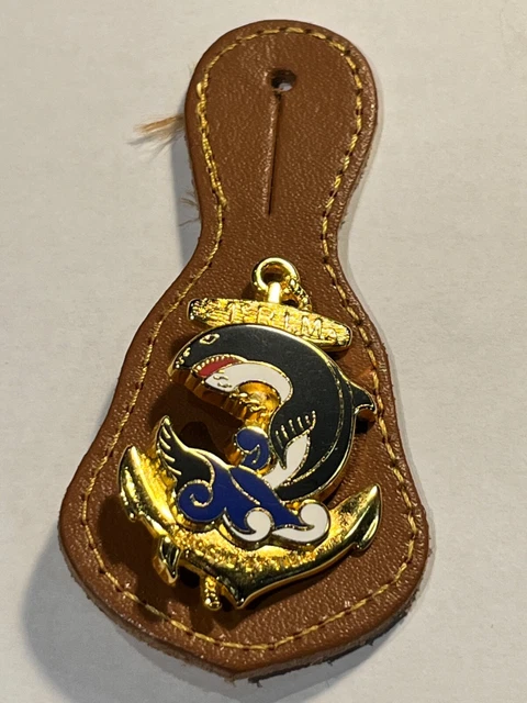 INSIGNE PUCELLE 1ER RIMA Régiment D'infanterie (107-33/P16/A4-57) EUR ...