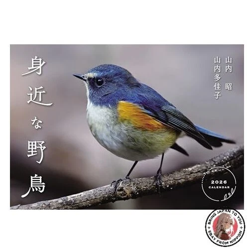 NOUVEAU CALENDRIER COMMUN des oiseaux sauvages 2026 mural [calendrier ...