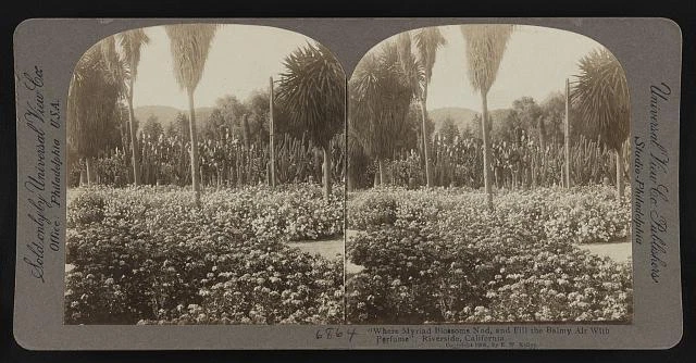 WHERE MYRIAD BLOSSOMS nod, and fill the balmy air with perfume Riv- Old ...