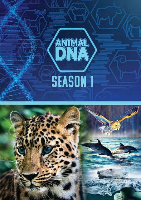 ANIMAL DNA: SEASON One (DVD) Clayton Mcdonnell Manuel G Mejia EUR 18,38 ...