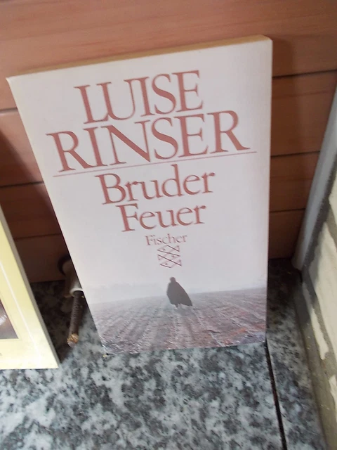 BRUDER FEUER, VON Luise Rinser, aus dem Fischer Taschenbuch Verlag EUR 2,99 - PicClick DE