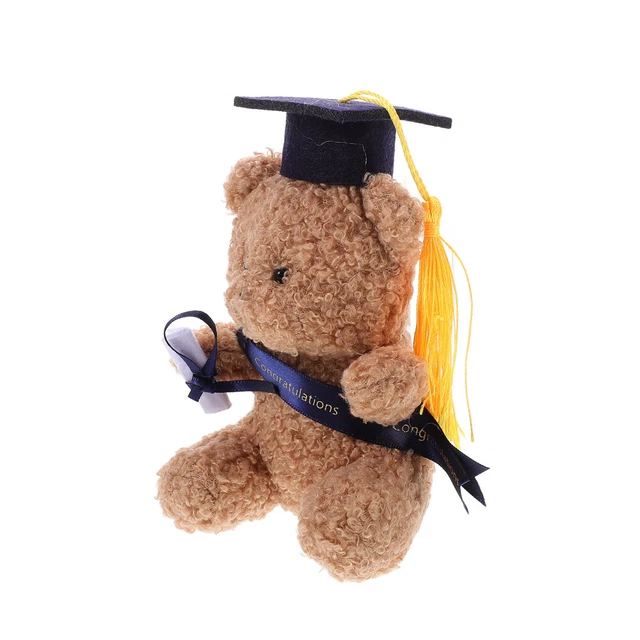 GRADUATION BEARS CLASS Of 2025 Graduation Plush Bears Stuffed Animal ...