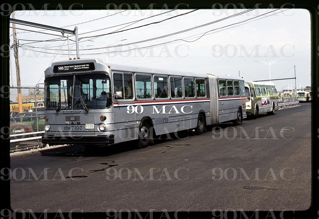 CHICAGO (IL) CTA MAN Articulated Bus #7001. Original Slide 1986. $8.01 ...