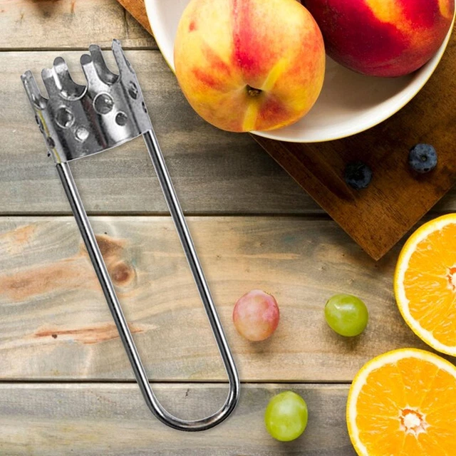 FRUIT CORE REMOVER for Coring and Hollowing Out Serrated Blade ...