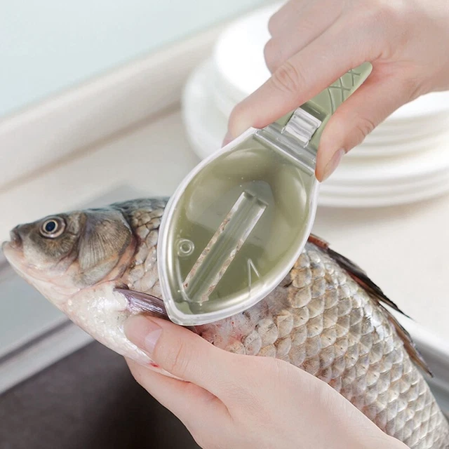 FISH SKIN BRUSH Scraping Scale Brush Graters Fast Remove Fish 4613 £4. ...