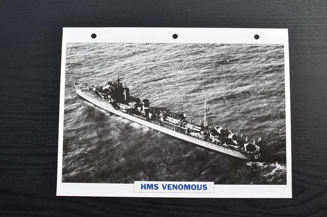 NAVAL DESTROYERS HMS Venomous 1918 Fleet Destroyer Photo Print Maxi ...