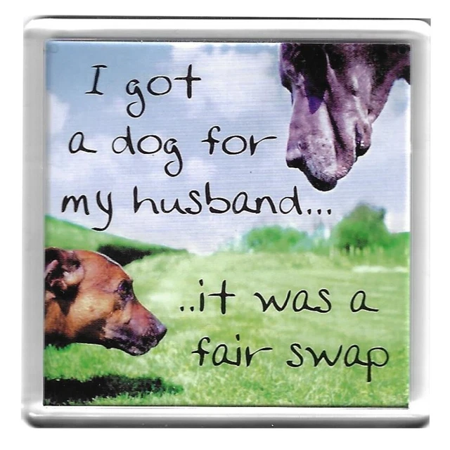 REFRIGERATOR MAGNETS Humorous Funny Sayings And Sentiments 3 49 refrigerator-magnets-humorous-funny-sayings-and-sentiments-3-49