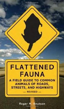 FLATTENED FAUNA: A Field Guide to Common Animals of R... | Livre | état ...