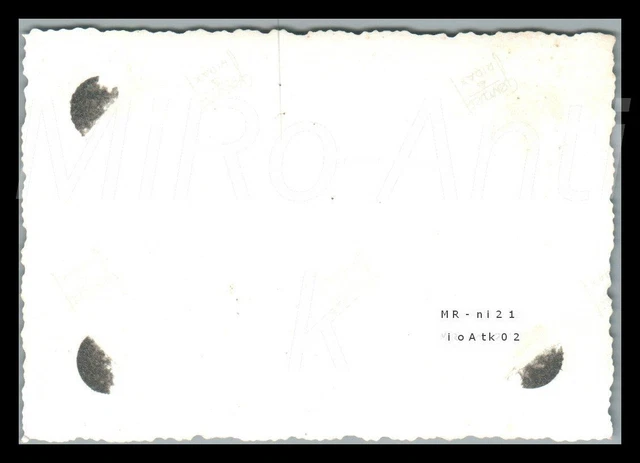 FOTO, WK2, 269.INF.DIV., Belgien, Grab eines belgischen Soldaten, L328L ...