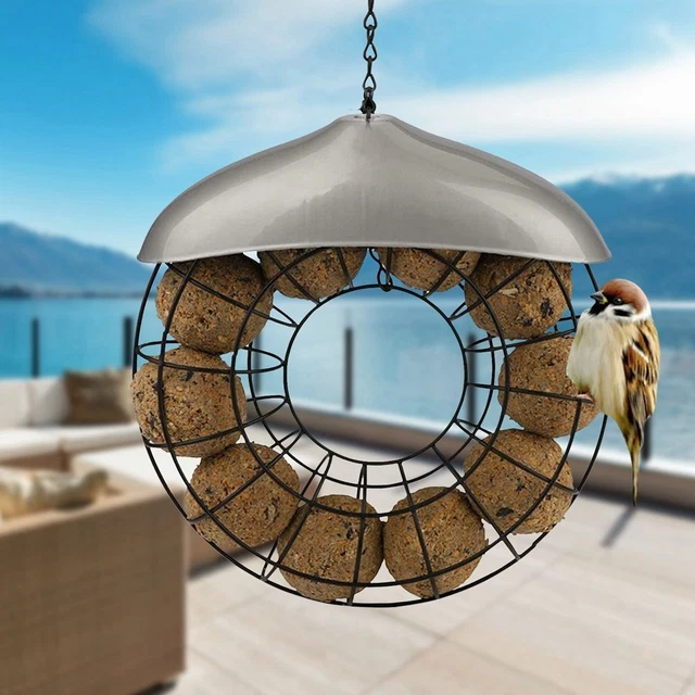BIRD FAT BALL Holder Bird Food Feeder Bird Feeder Feeding Holder ...