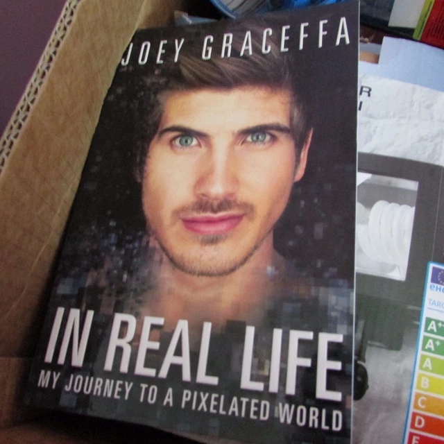 IN REAL LIFE: My Journey to a Pixelated World EUR 7,00 - PicClick FR