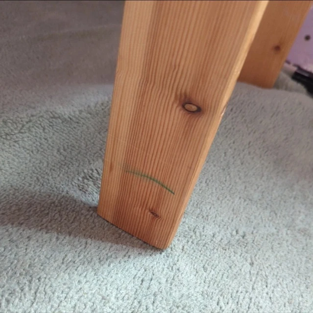 SHORT LUNA SOLID Pine Heavy Duty Sleeper Loft Bunk Bed Used Collection ...