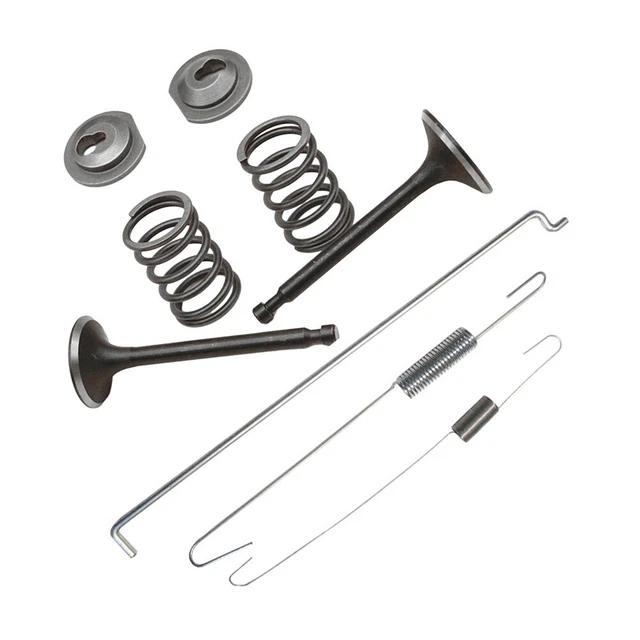 LONG LASTING VALVE Springs Kit for Honda GX160 GX200 168F 170F Gasoline ...
